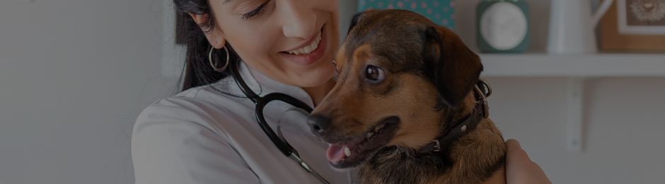 Banfield Exchange: Research, best practices, and evidence-based ...